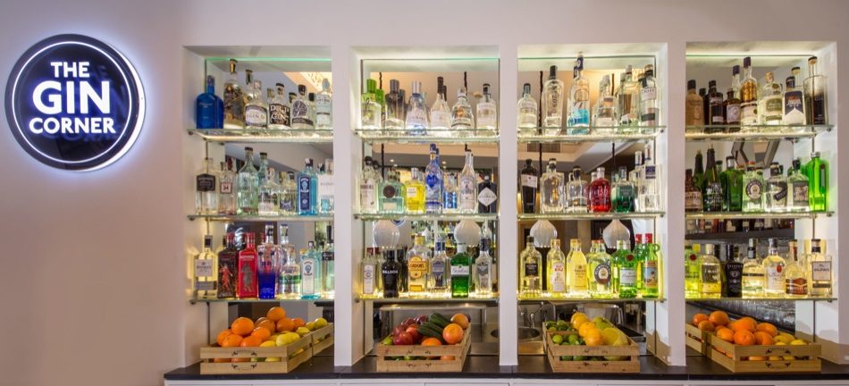 Cinque tipi di gin - Icon