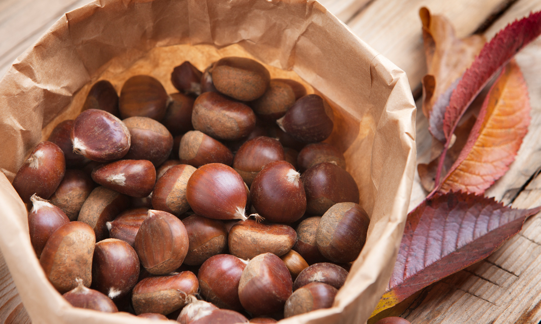 Castagne, 5 curiosità sul frutto autunnale e sull'albero - Iconmagazine