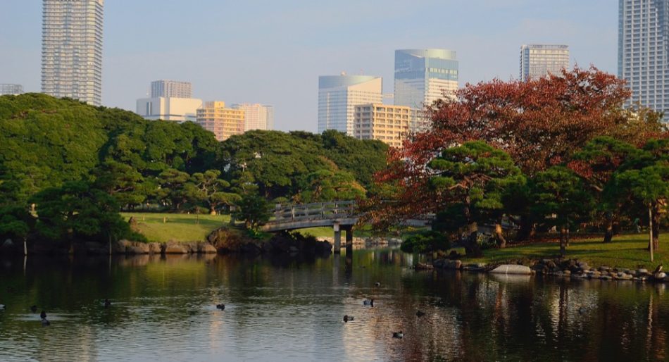 Tokyo, alla scoperta dei parchi più belli - Icon