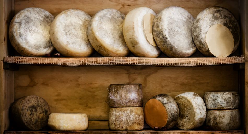 Bergamo, i 9 formaggi Dop della Cheese Valley - Icon