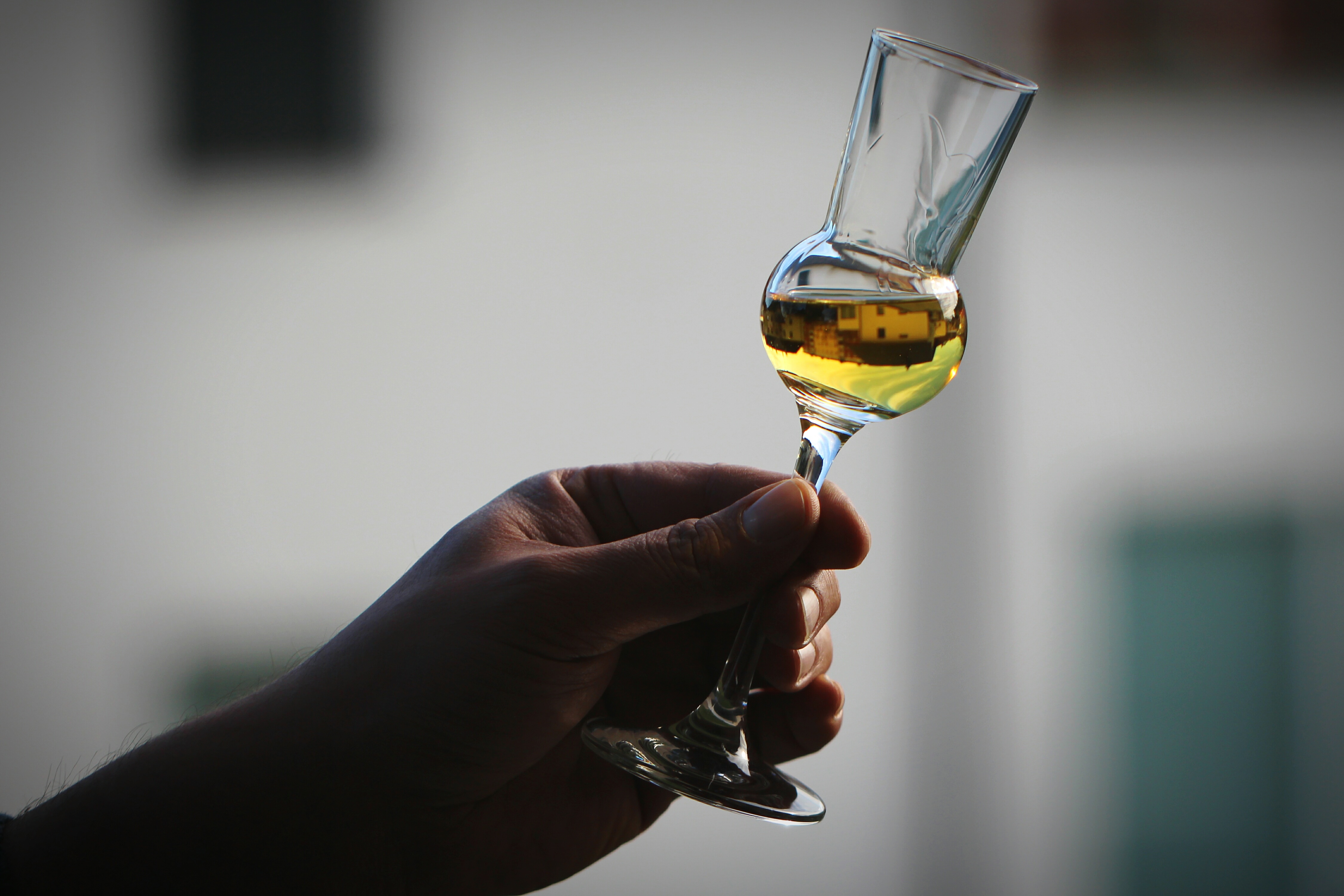 Grappa, guida pratica al distillato italiano: cos'è, i produttori ...