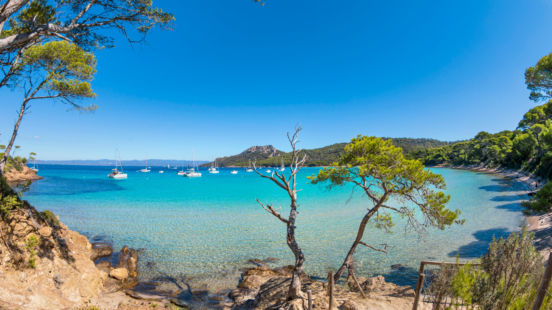 Autunno nel sud della Provenza, tra mare, arte e ﻿natura - Iconmagazine