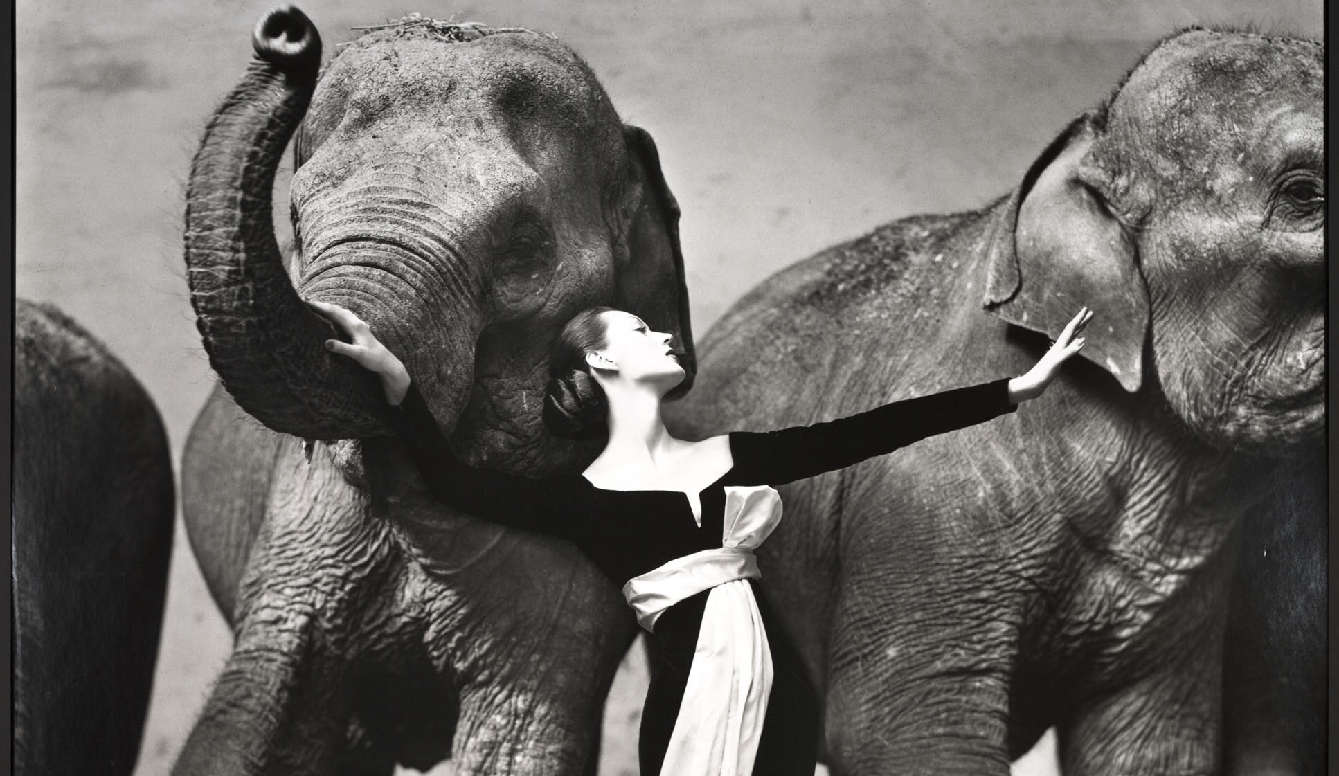 Le più belle mostre fotografiche dello celebrities internazionali