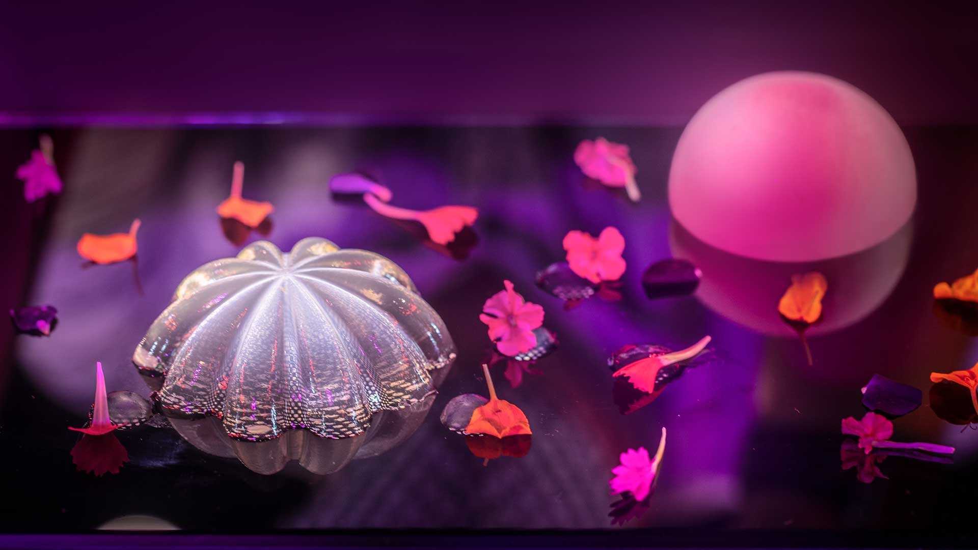 Tendenze food 2023, che cosa mangeremo (e dove) | ICON Magazine