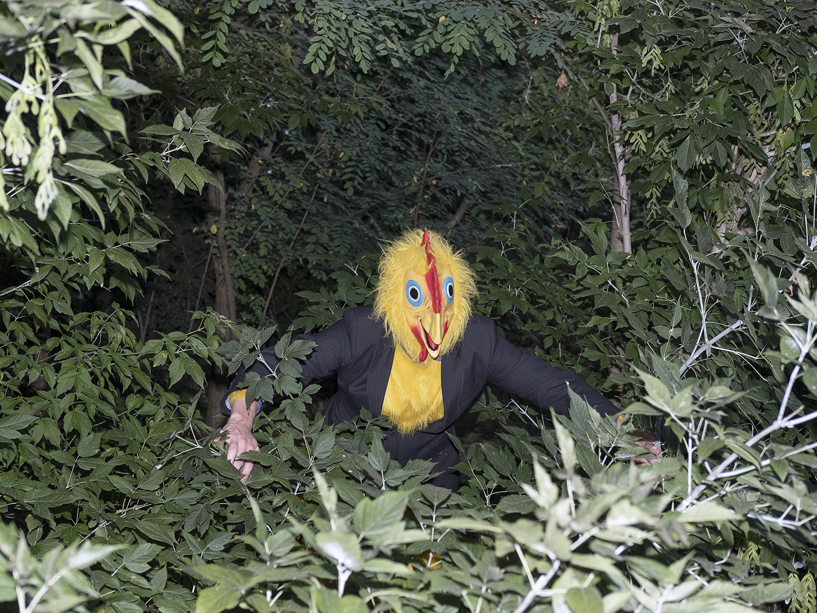 Fotografia: gli appuntamenti da non perdere - Iconmagazine