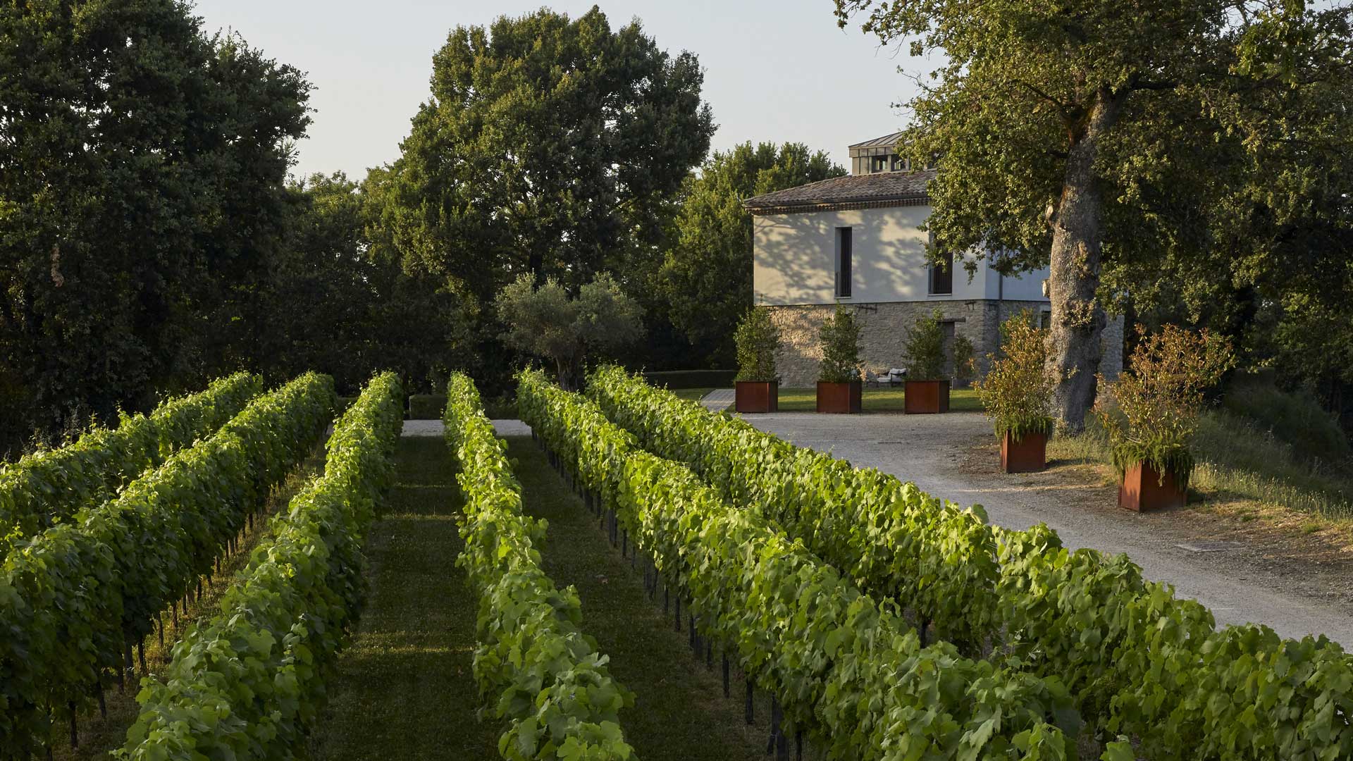 Teritoria, la nuova guida dell'ospitalità | ICON Magazine