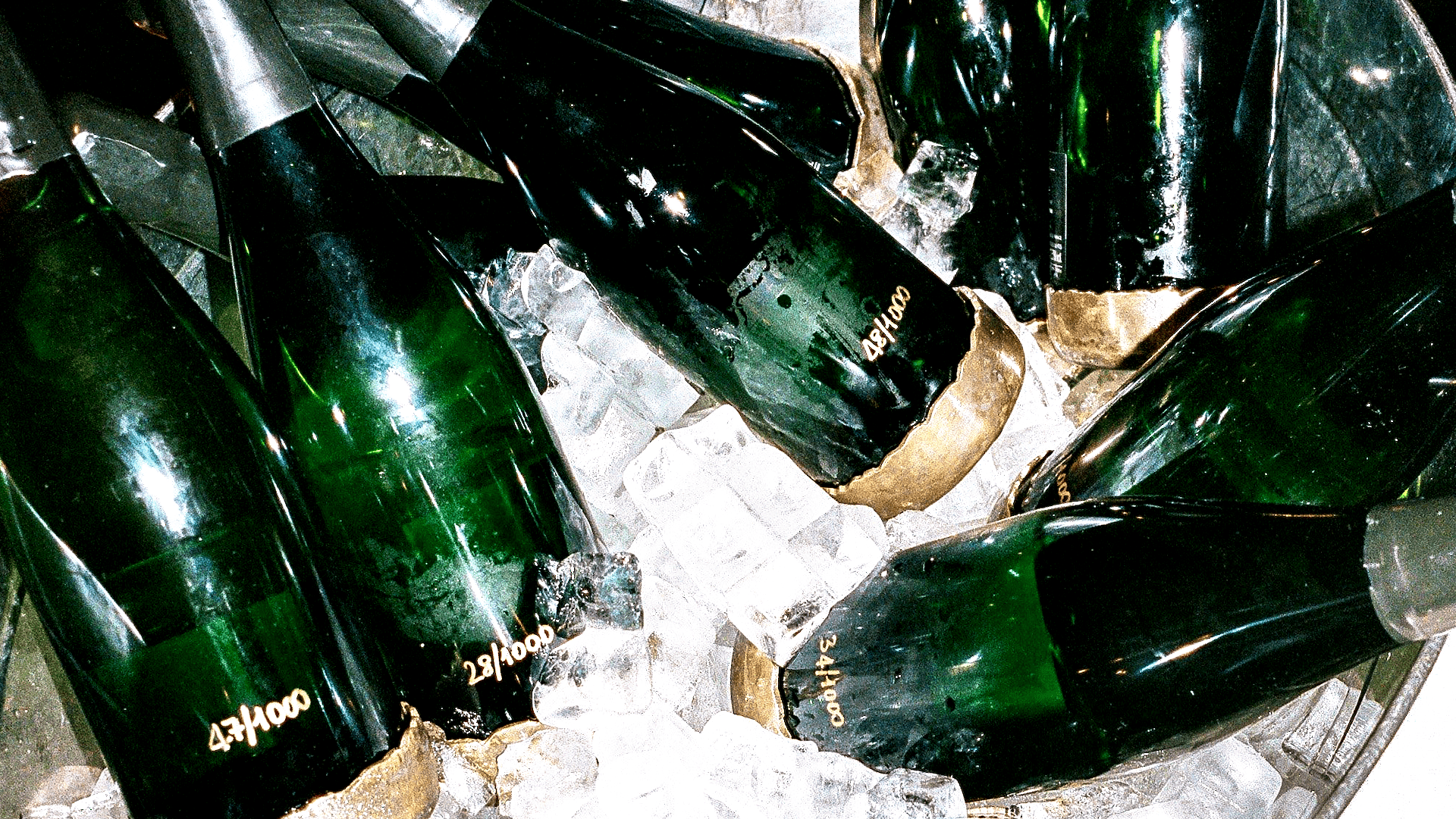 Katkoot: il vino di lusso 2.0. Intervista ai fratelli Bassan - Iconmagazine